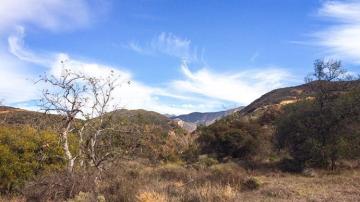 Single Tracks of Baker Canyon | OC Parks