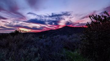 Relax, Rewind, and Recharge: A Guided Nature Therapy Walk | OC Parks