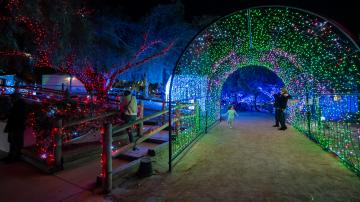 2024 Holiday Lights | OC Parks