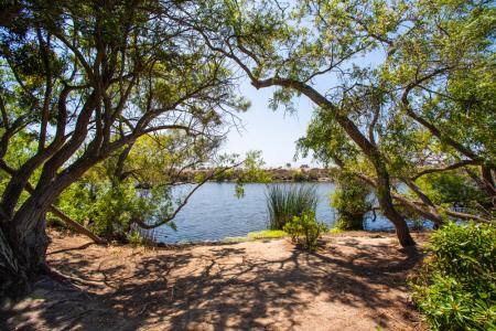 Talbert Regional Park Master Plan | OC Parks